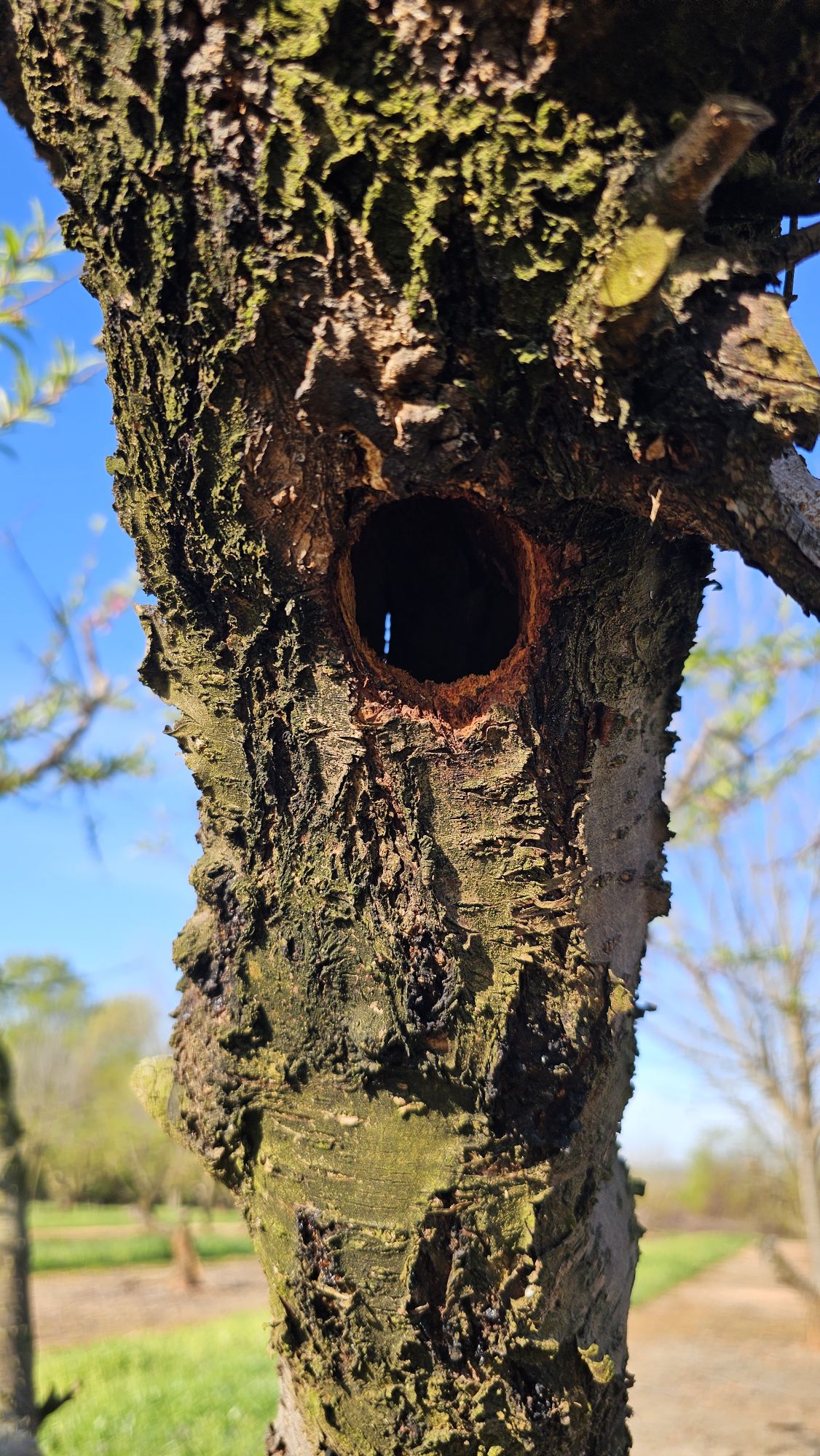 Wordless Wednesday | Linda Lou's Life