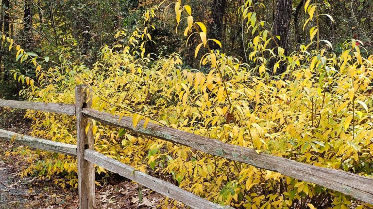 Color My World | Linda Lou's Life